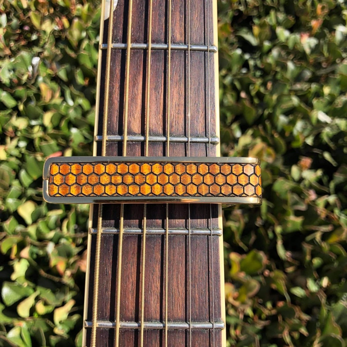 Thalia Premium Series Guitar Capo - Save The Bees Honeycomb Koa, 24k G